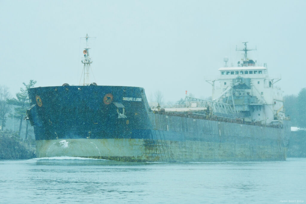 Captain Spicer's Gallery | Shop The Official Site