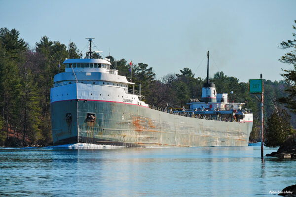 Captain Spicer's Gallery | Shop The Official Site